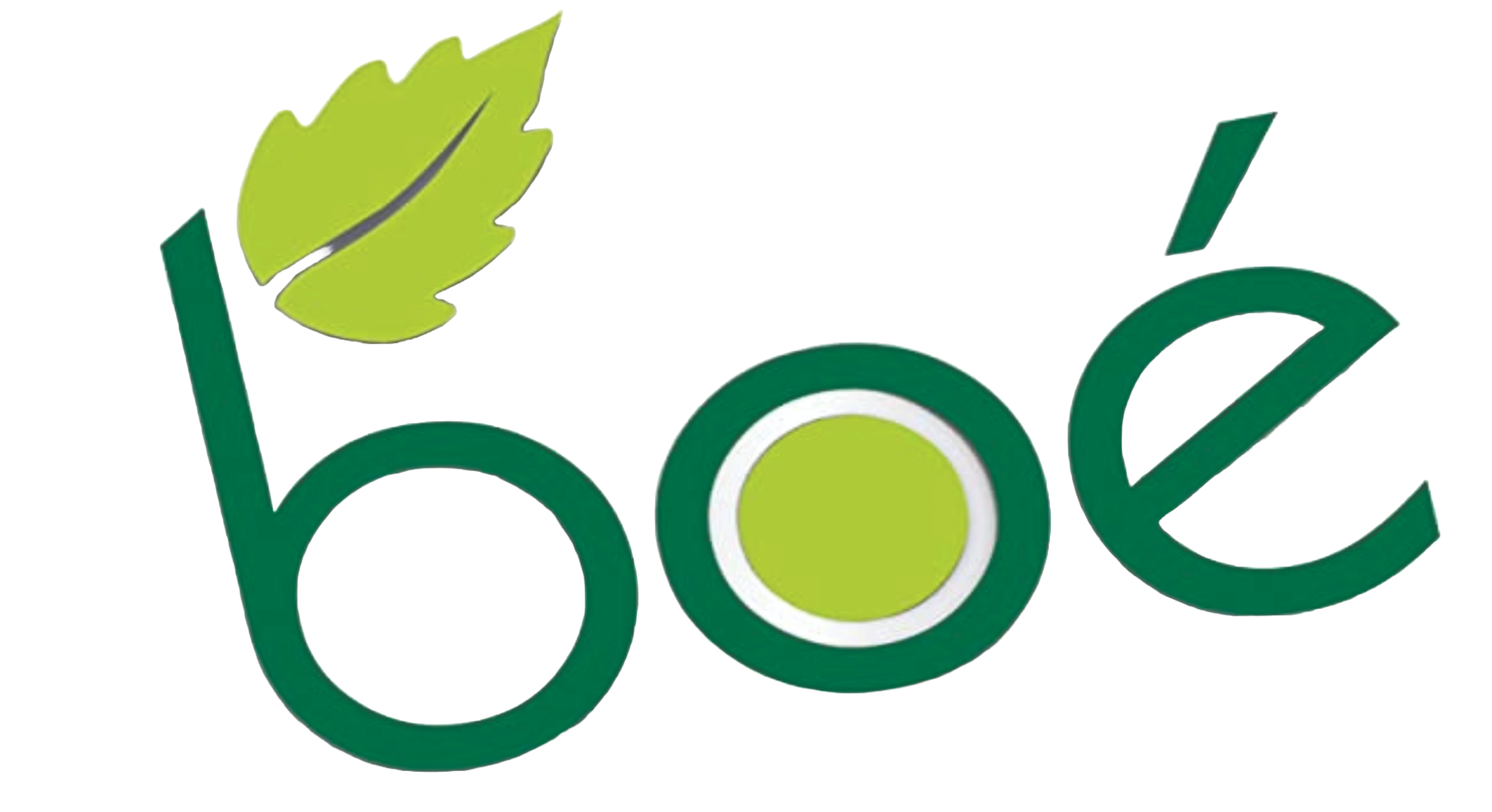 BOE – BOE COSMETICS USA CORP