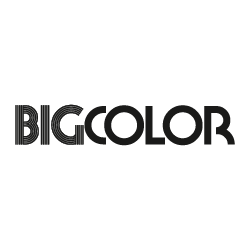 BIGCOLOR – BOE COSMETICS USA CORP